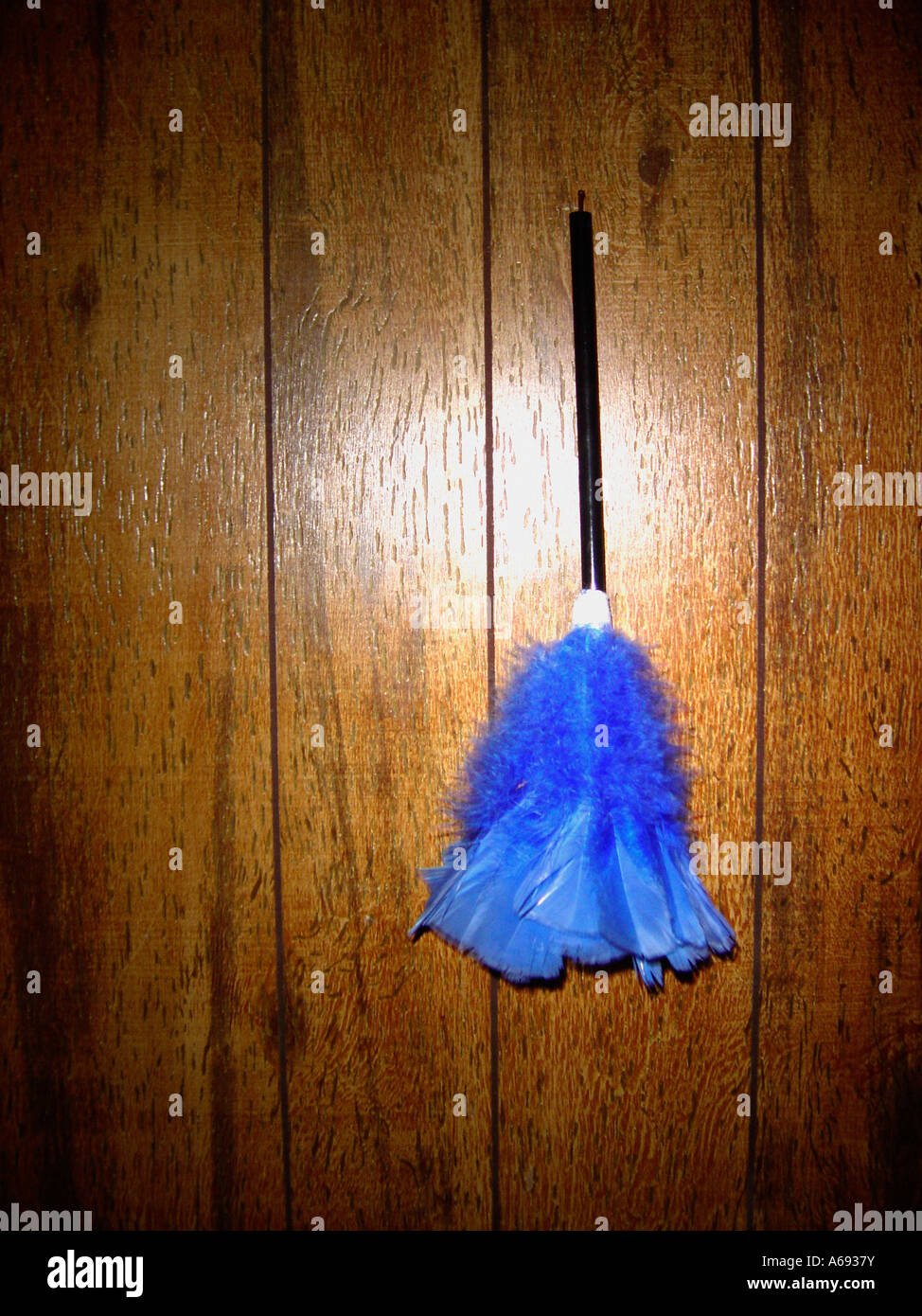 Blue Feather Duster on Wooden Paneling Wall Copy Space Stock Photo - Alamy