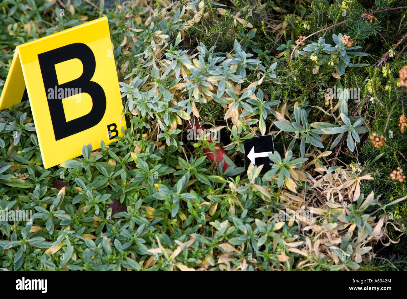 Evidence marking hidden knife Stock Photo - Alamy