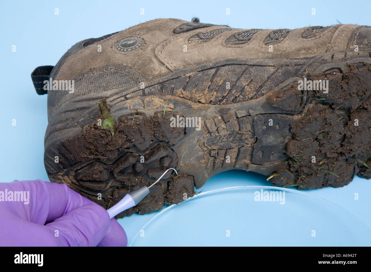 Being scraped hi-res stock photography and images - Alamy