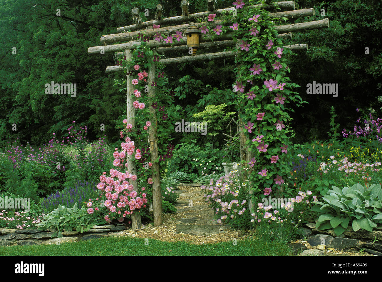 Beautiful handmade rustic cedar arbor with blooming roses over a ...