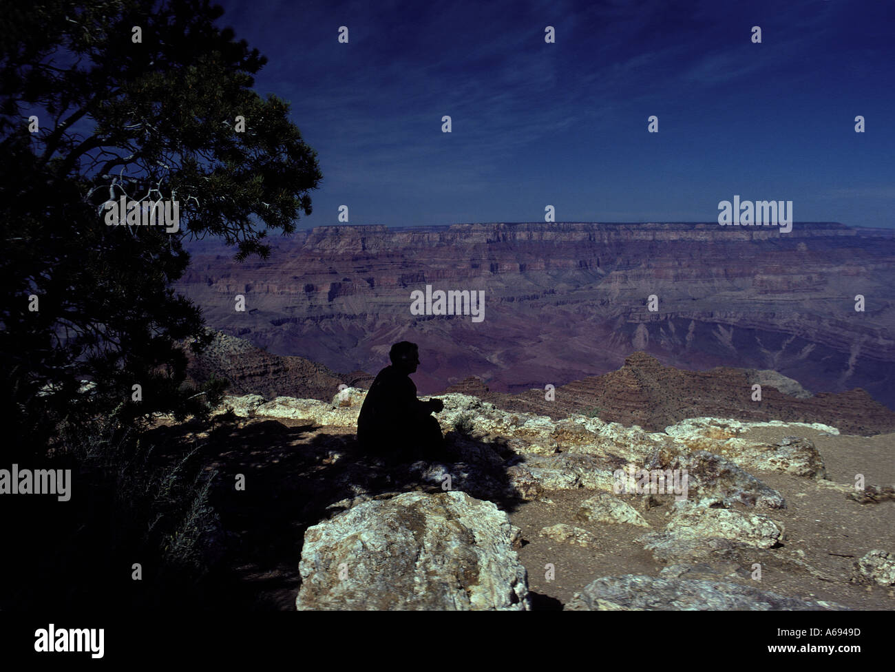 Man sitting under shade tree hi-res stock photography and images - Alamy