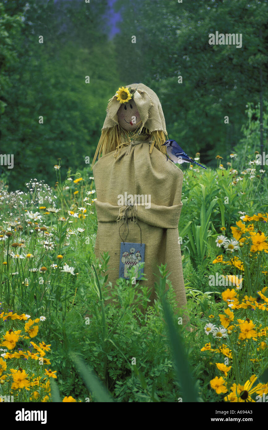 Scarecrow made of straw and burlap with a songbird on her shoulder in ...