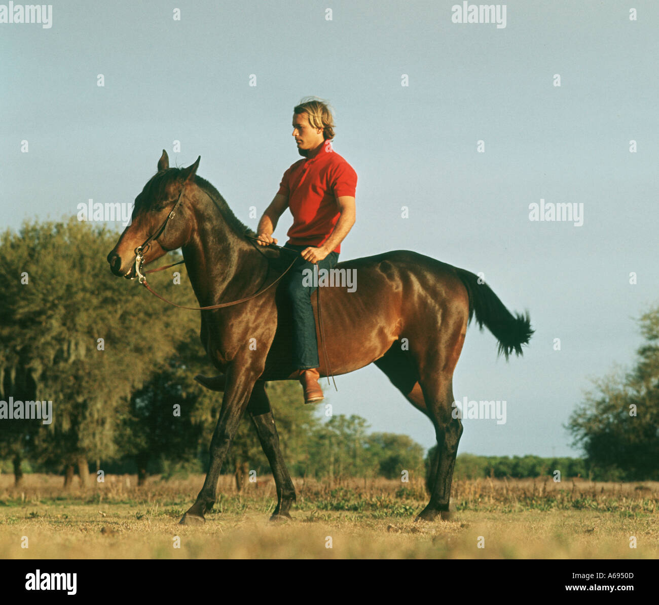 Man on horse Stock Photo - Alamy