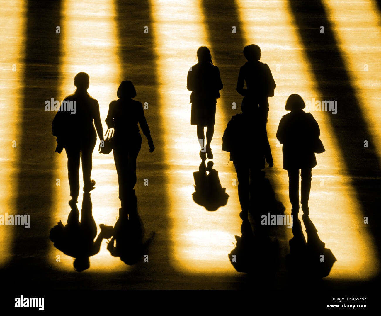 Back lit silhouettes of people Stock Photo - Alamy