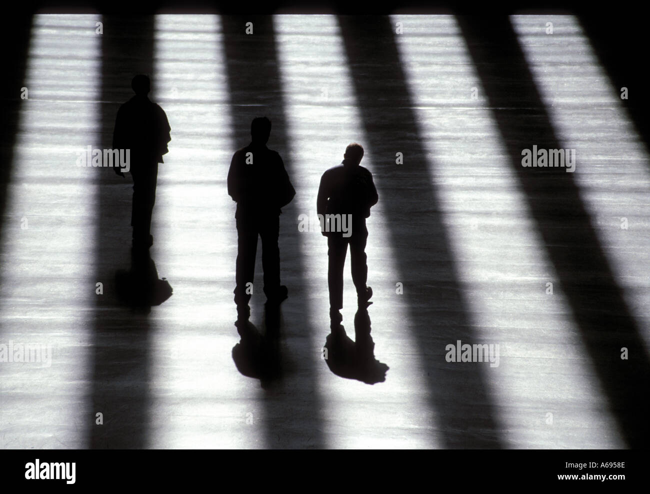 Back lit silhouettes of people Stock Photo - Alamy