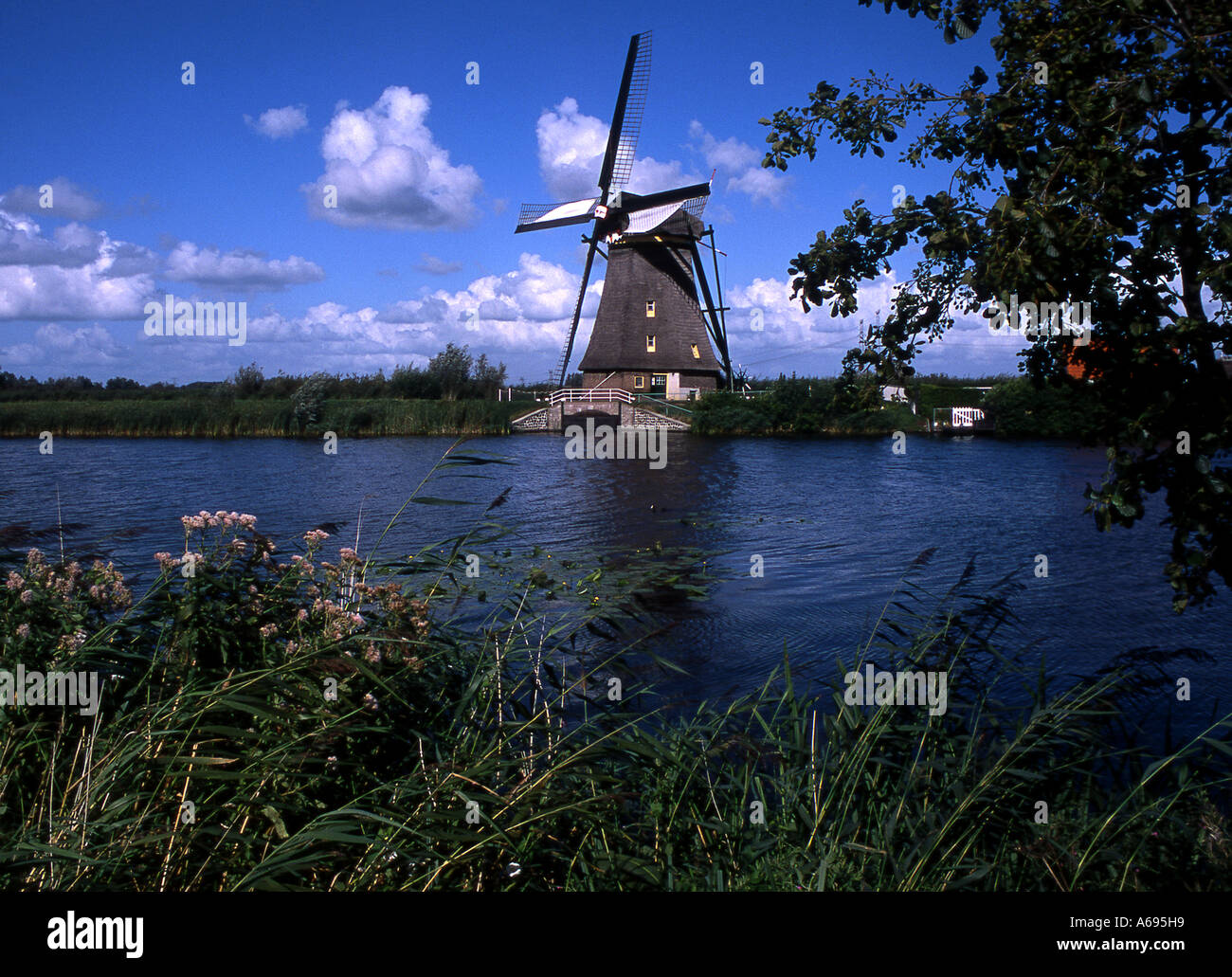 Europe, Netherlands, Kinderdijk, Windmill, World Heritage site Stock ...