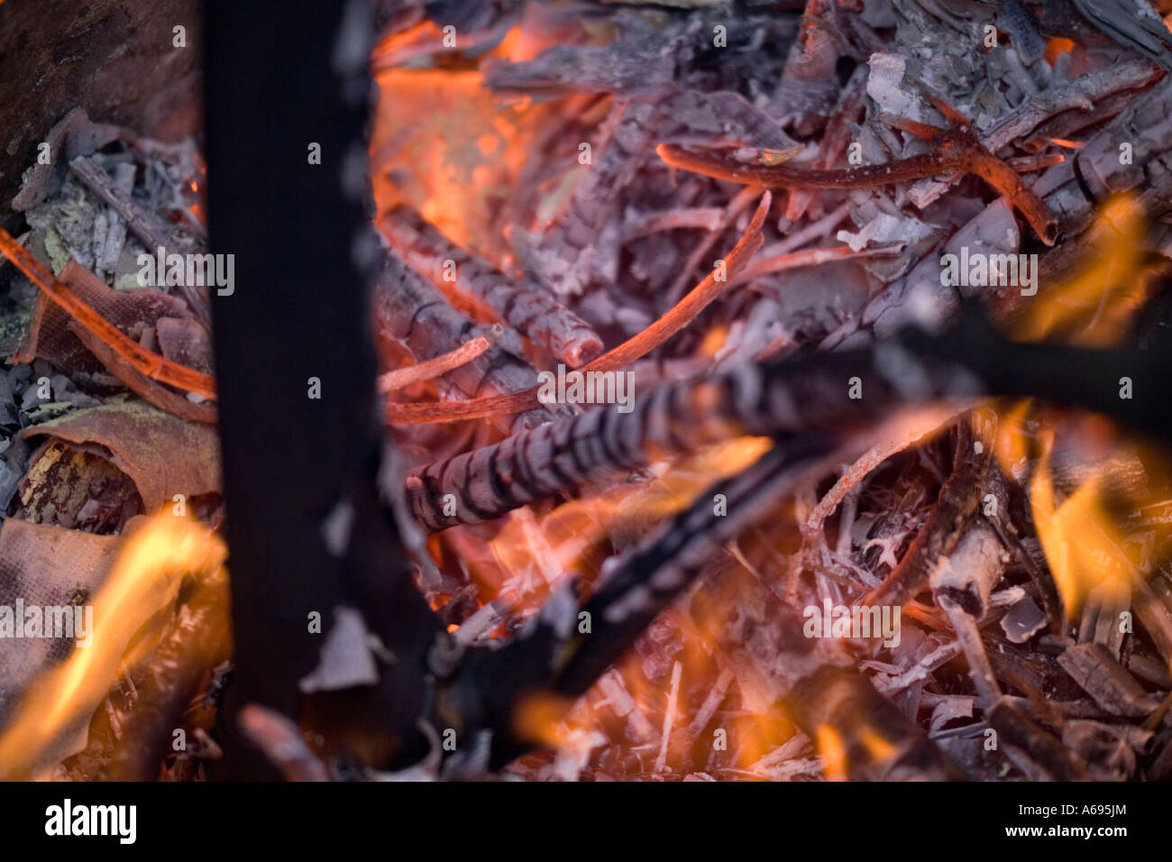 burning ember glowing red hot from forest fire Stock Photo - Alamy