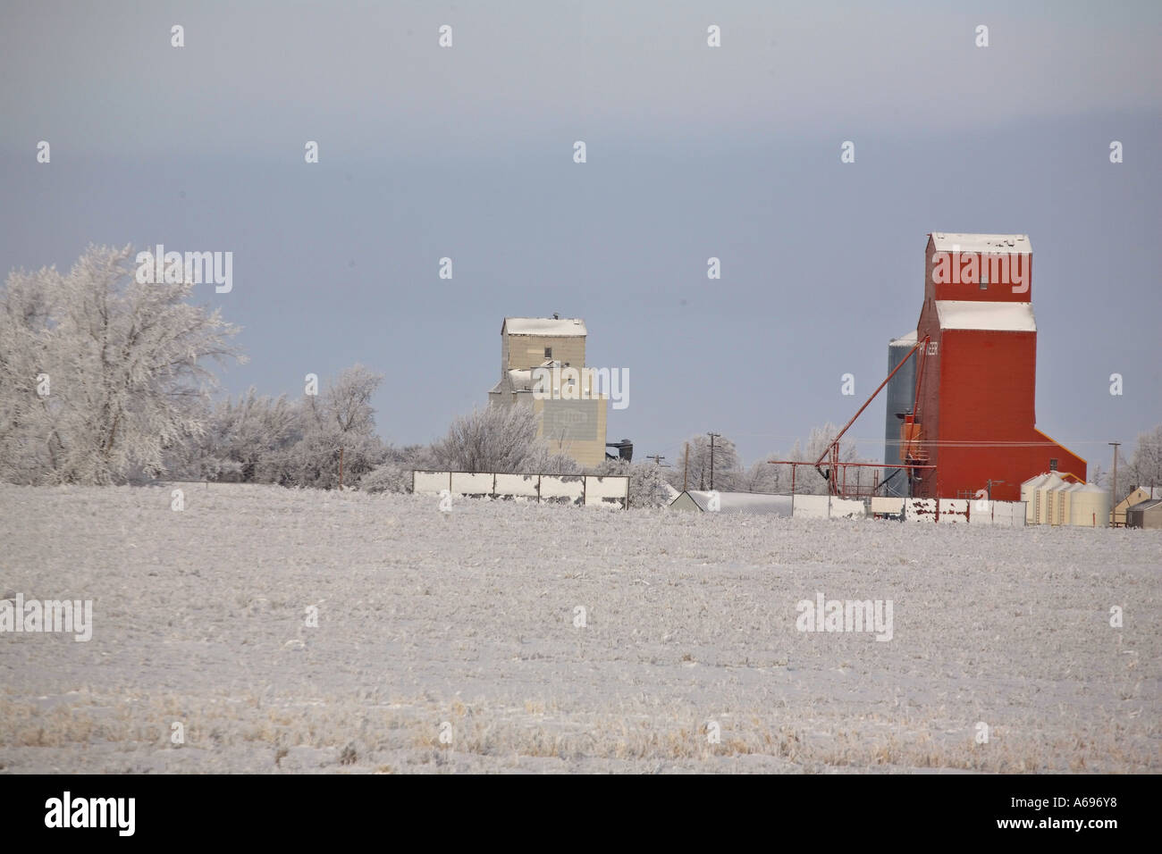 Grain elevators at Bethune in scenic Saskatchewan Canada Stock Photo ...