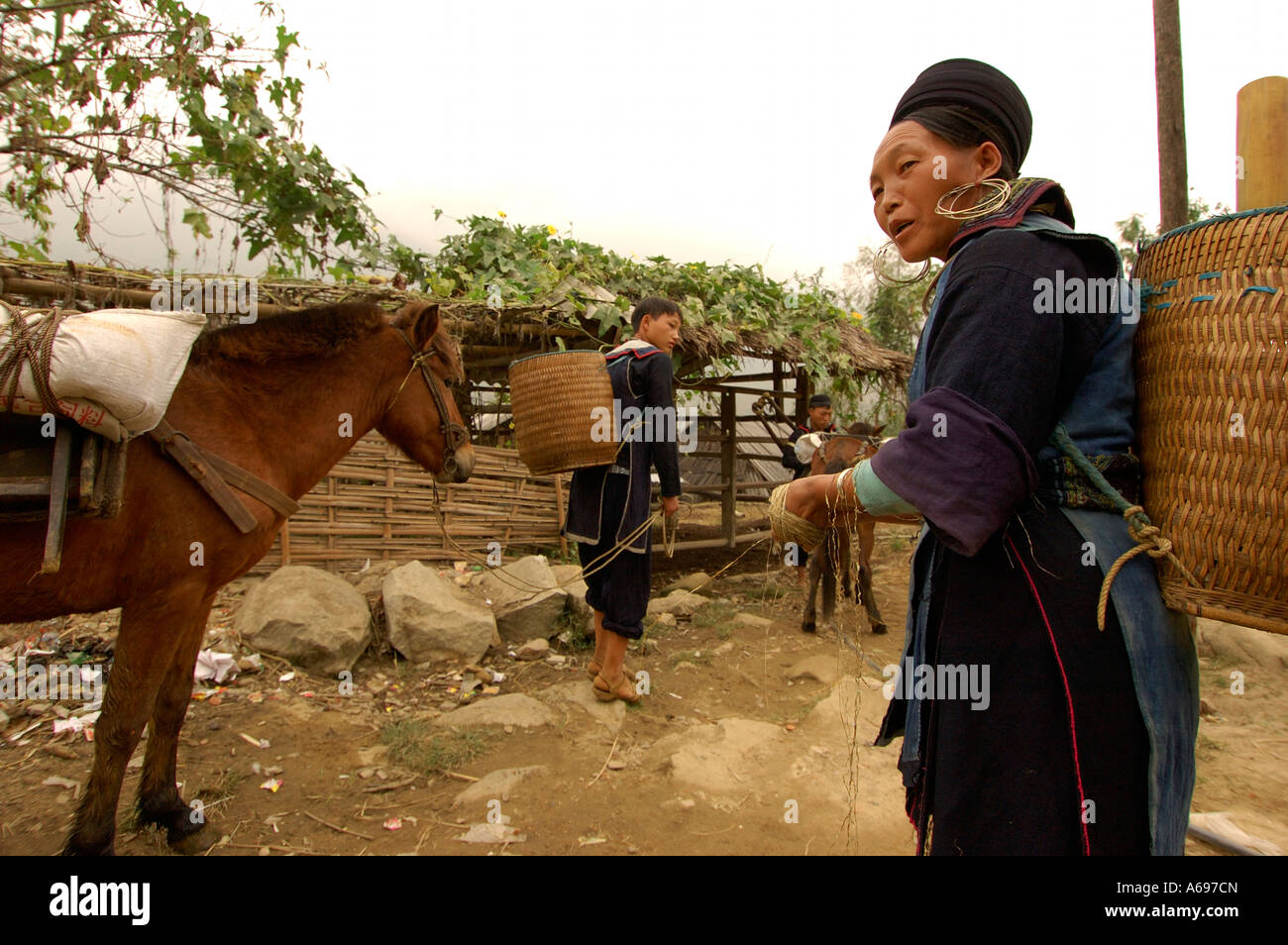 Hmong horse hi-res stock photography and images - Alamy