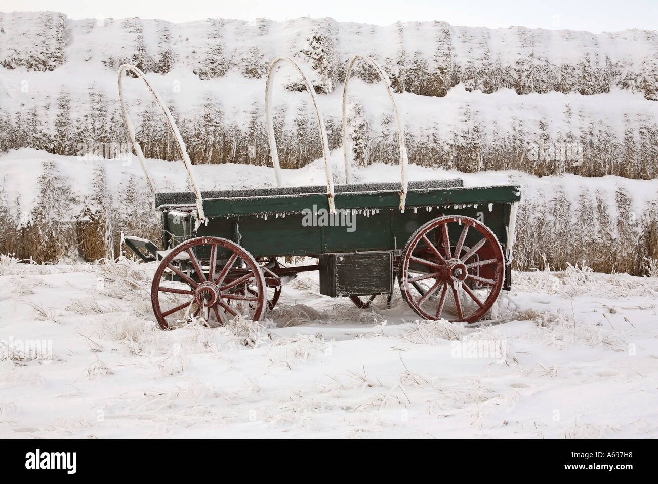 Hoar frost covered old chuck wagon wheels and hay bales in scenic ...