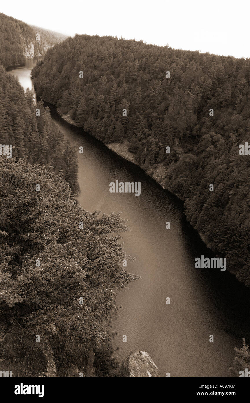 High view of river running through forest Stock Photo - Alamy