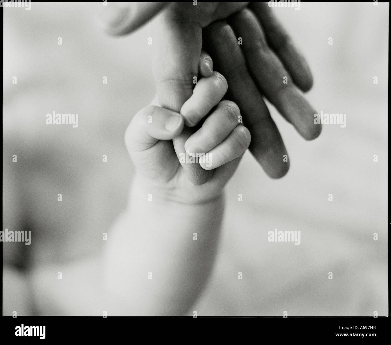 Baby's hand holding parent's finger Stock Photo - Alamy