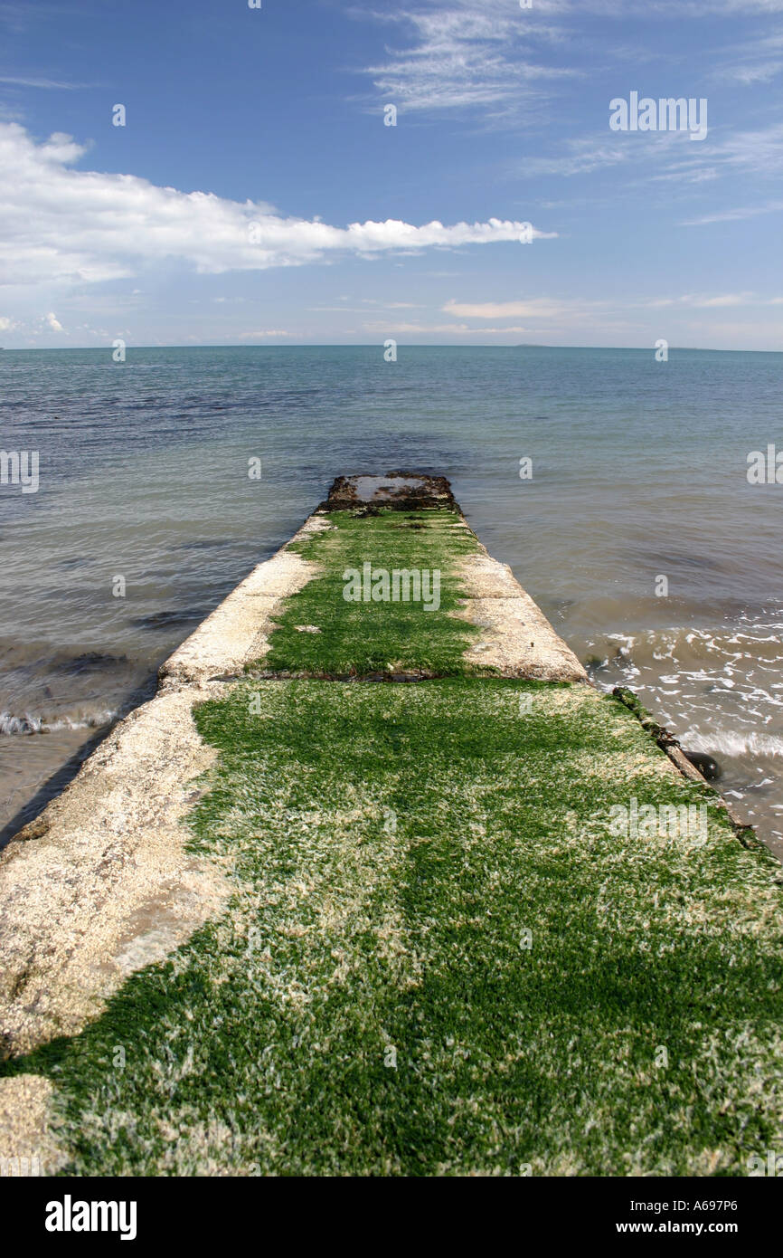 Whitehead jetty hi-res stock photography and images - Alamy