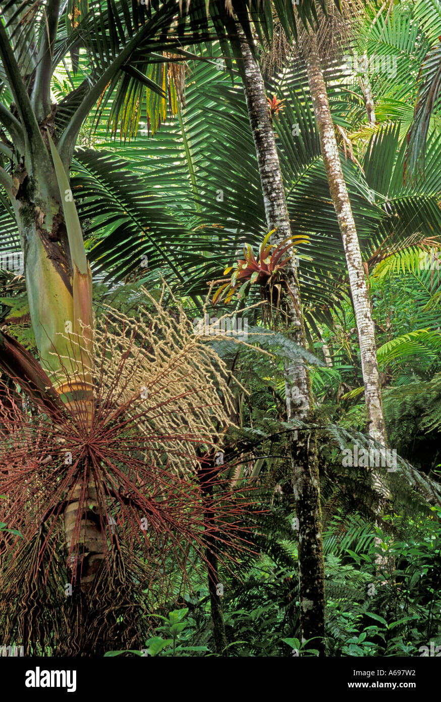 36535312 hi-res stock photography and images - Alamy