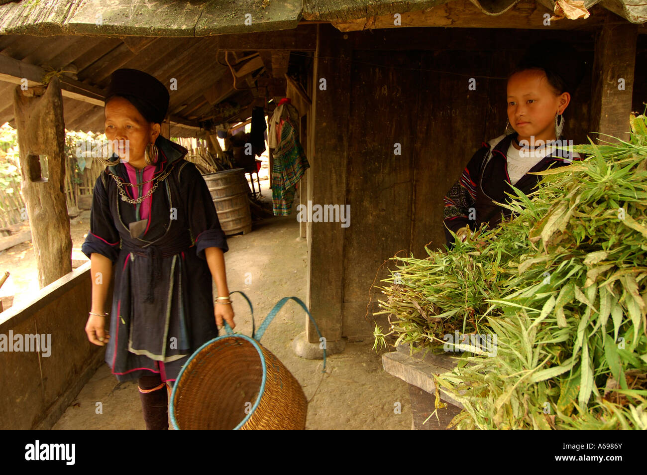 Black Hmong Indigenous people, Lao Chai, Sapa, Vietnam Stock Photo - Alamy
