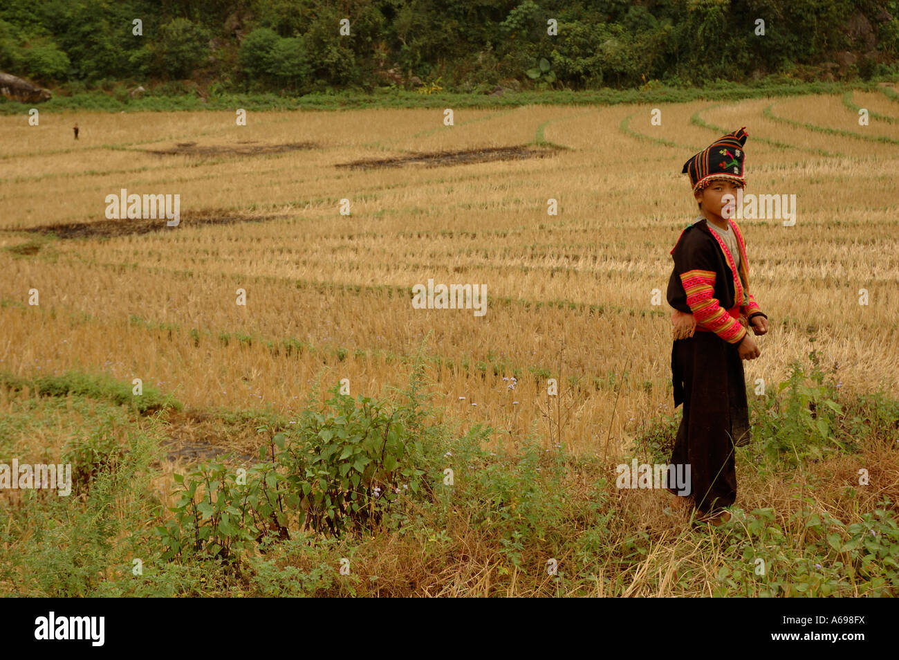 A Blue Hmong indigenous girl wearing traditional cloth walks through ...