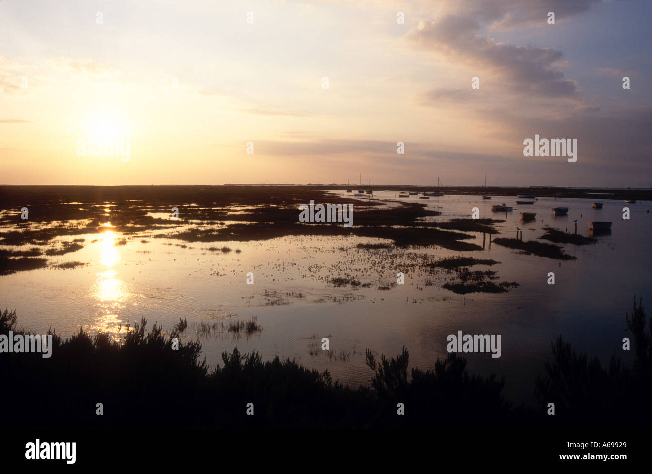 Evening sunlight at Blakeney Norfolk East Anglia England UK Stock Photo ...