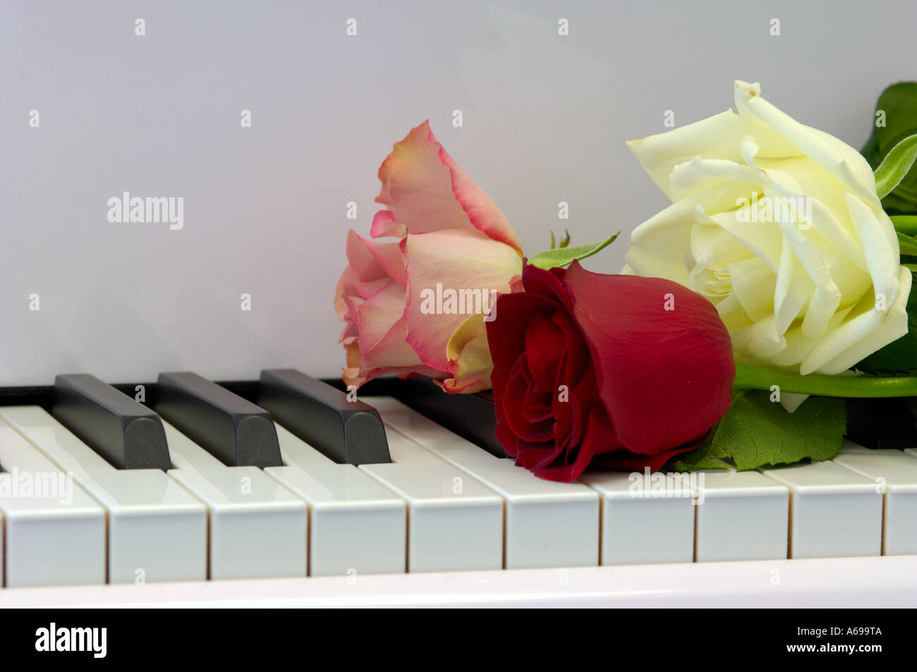 Roses and Piano Stock Photo - Alamy