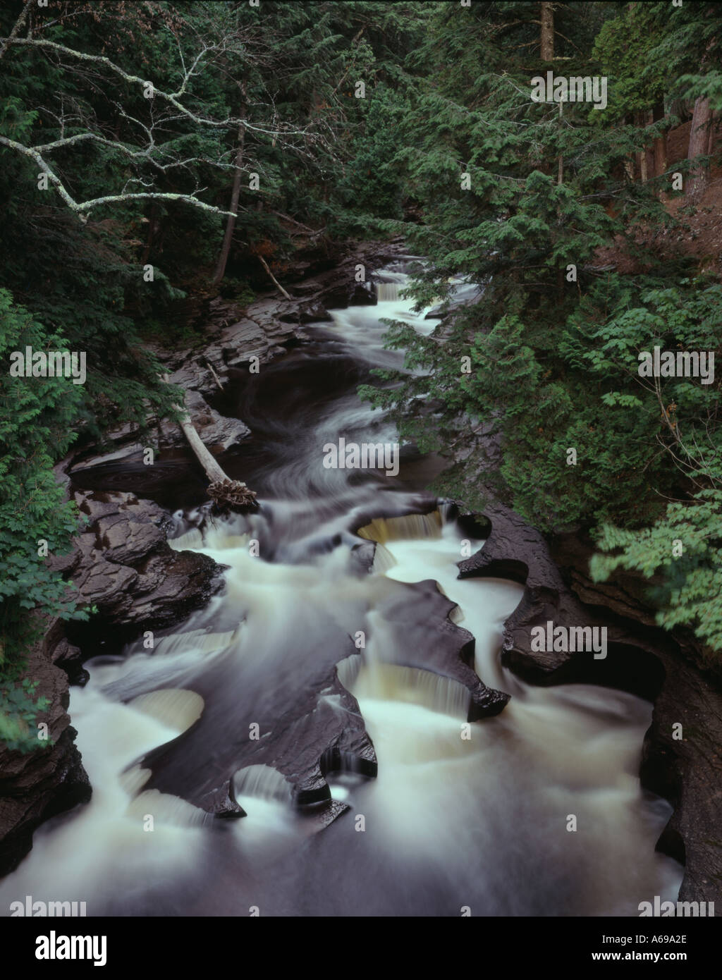 stream through forest Stock Photo - Alamy