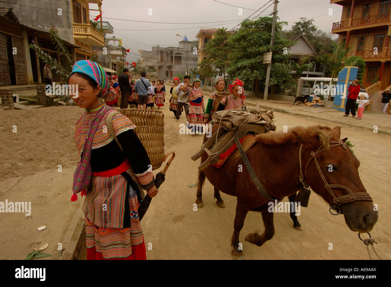 Flower Hmong Indigenous People, Bac Ha market, Lao Cai, Vietnam Stock ...