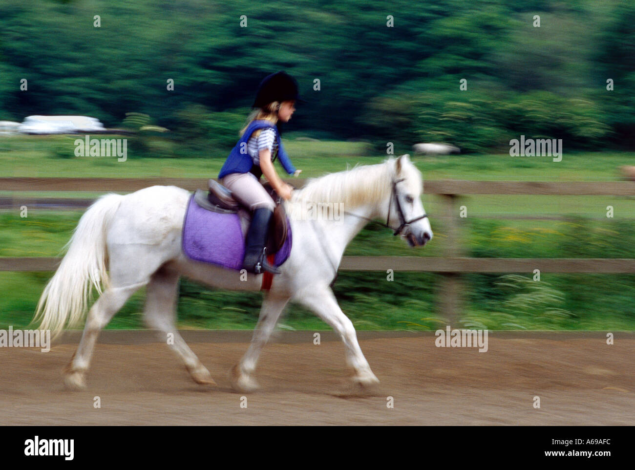 Horseback riding lesson for kids hi-res stock photography and images ...