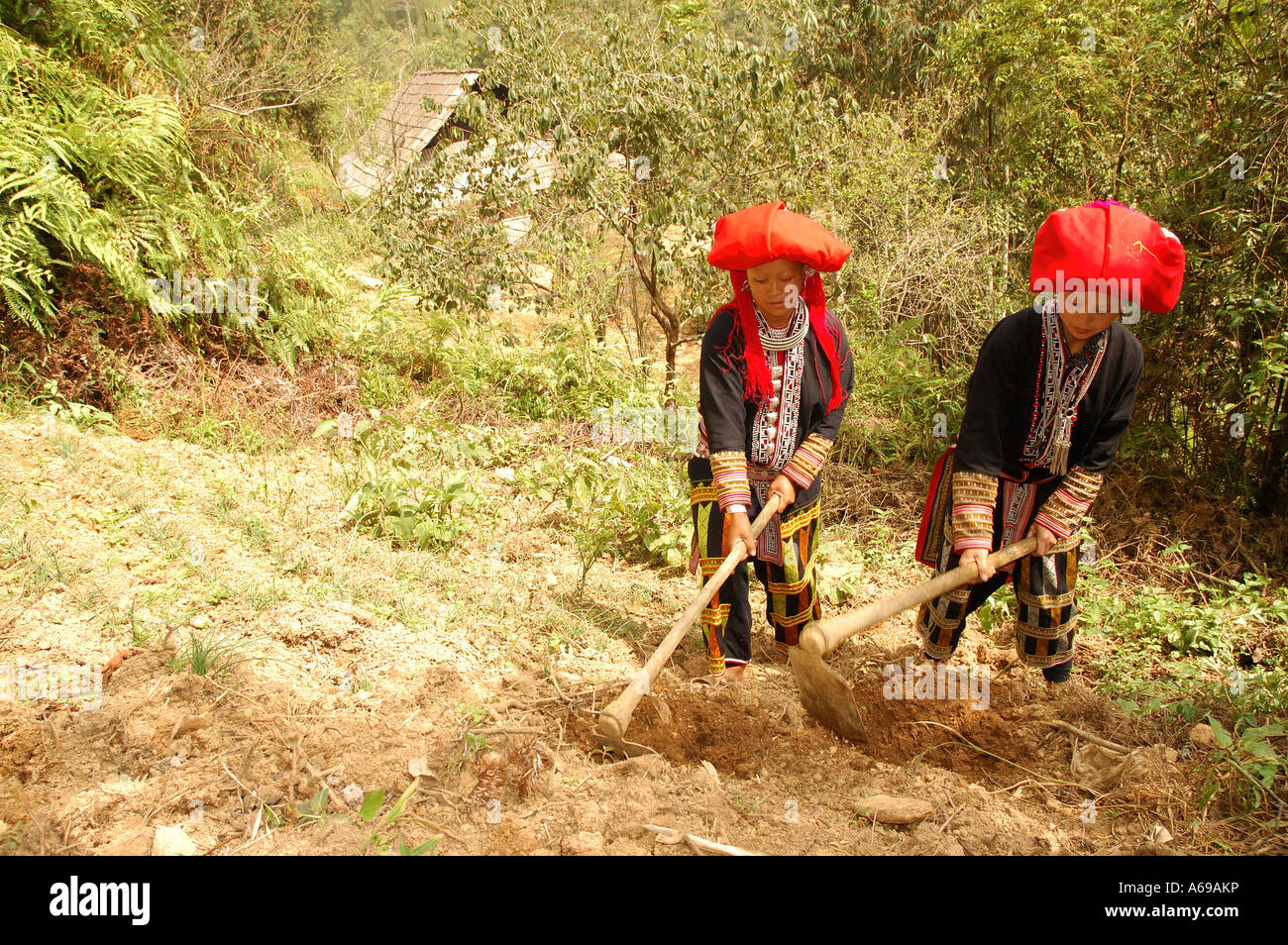 Red Dao Indigenous People, Ta Phin, Sapa, Vietnam Stock Photo - Alamy
