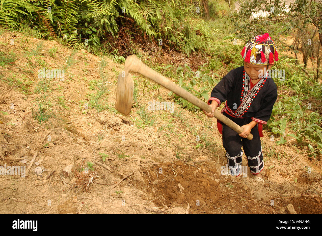 Red Dao Indigenous People, Ta Phin, Sapa, Vietnam Stock Photo - Alamy