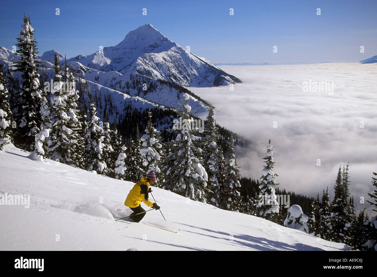 skiing on Mt. Mackenzie,revelstoke british columbia,canada Stock Photo ...