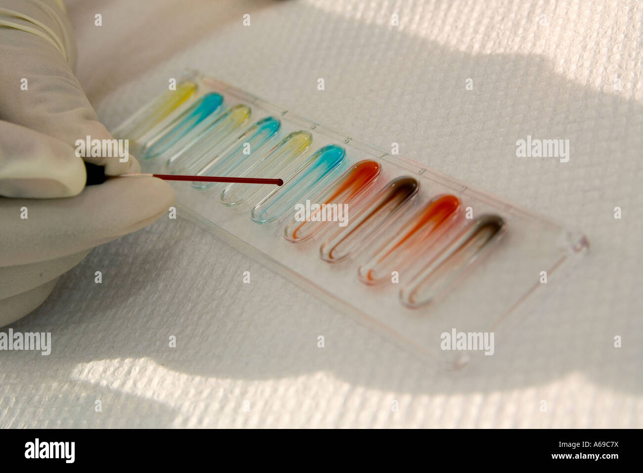 Technician studying medical color hi-res stock photography and images ...