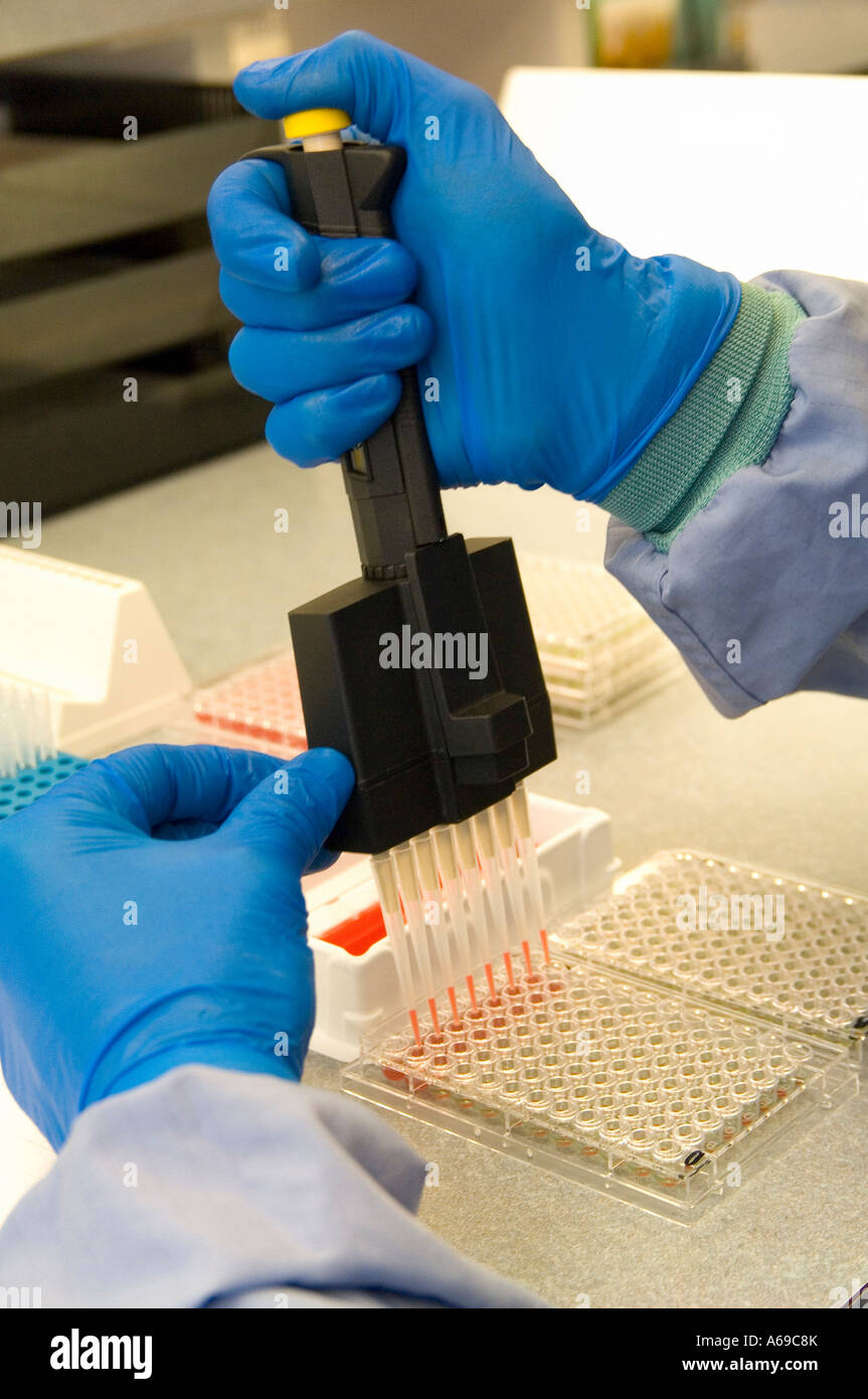 Lab technician doing blood experiment Stock Photo - Alamy