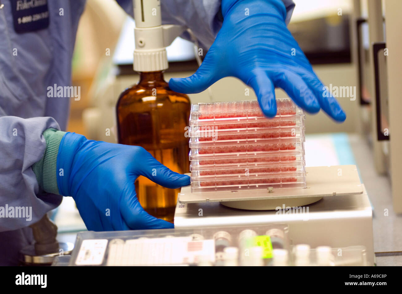 Lab technician doing blood experiments Stock Photo - Alamy