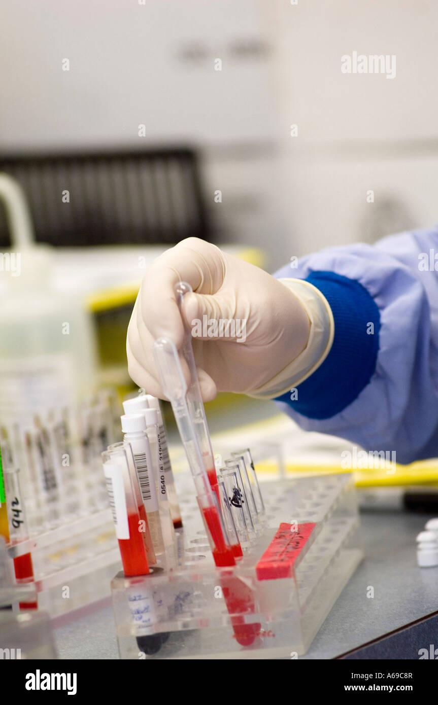 Lab technician testing blood Stock Photo - Alamy