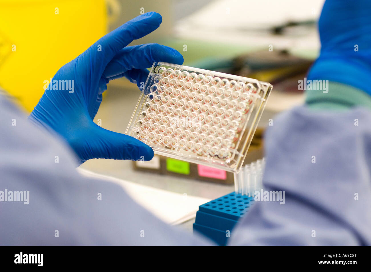 Lab technician doing blood experiment Stock Photo - Alamy