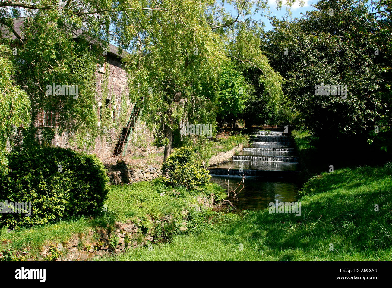 Wales Gwynedd Glynllifon Park Afon Llifon cascade Stock Photo - Alamy