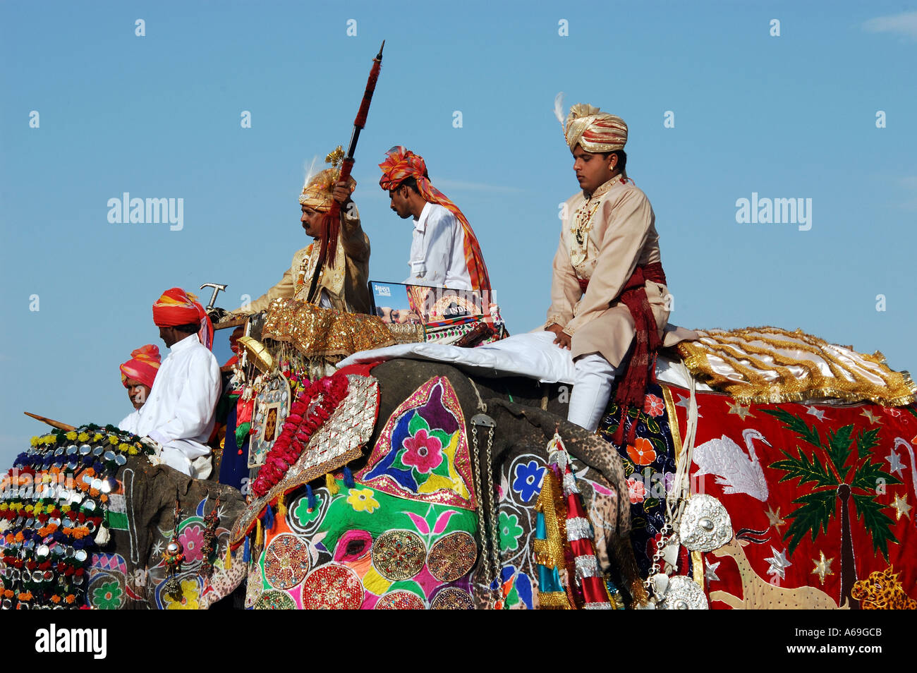 Decorated costume elephant india hi-res stock photography and images ...