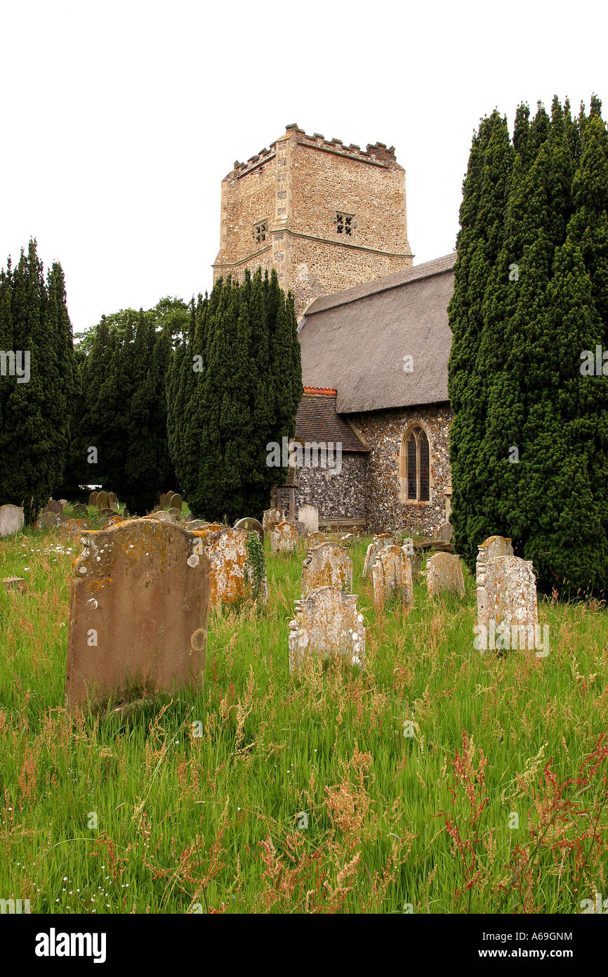 UK Norfolk Broads Salhouse All Saints parish church tower and ...