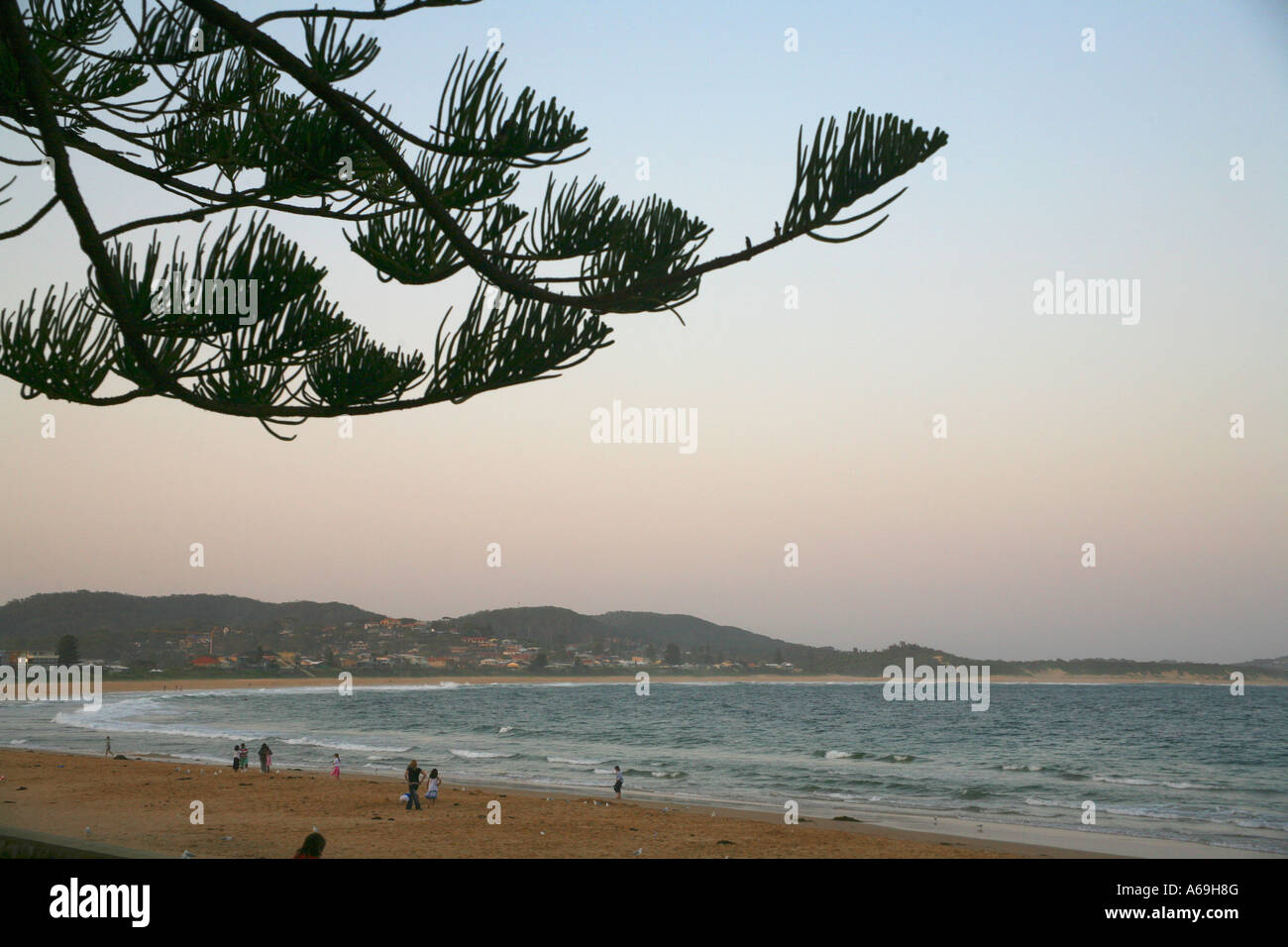 Early evening at Terrigal main beach, NSW, Australia Stock Photo - Alamy