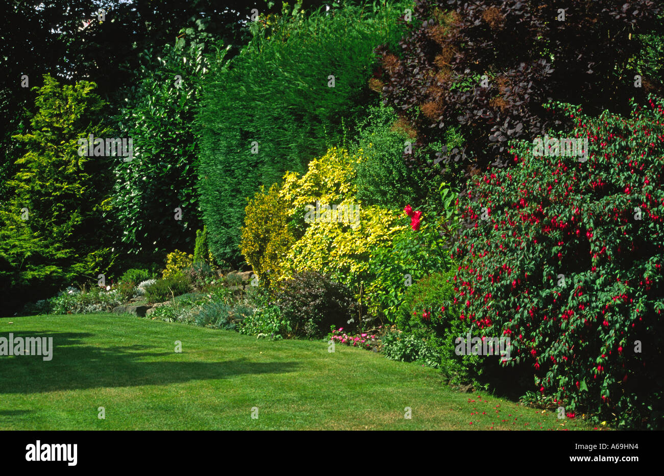 Typical english garden hi-res stock photography and images - Alamy