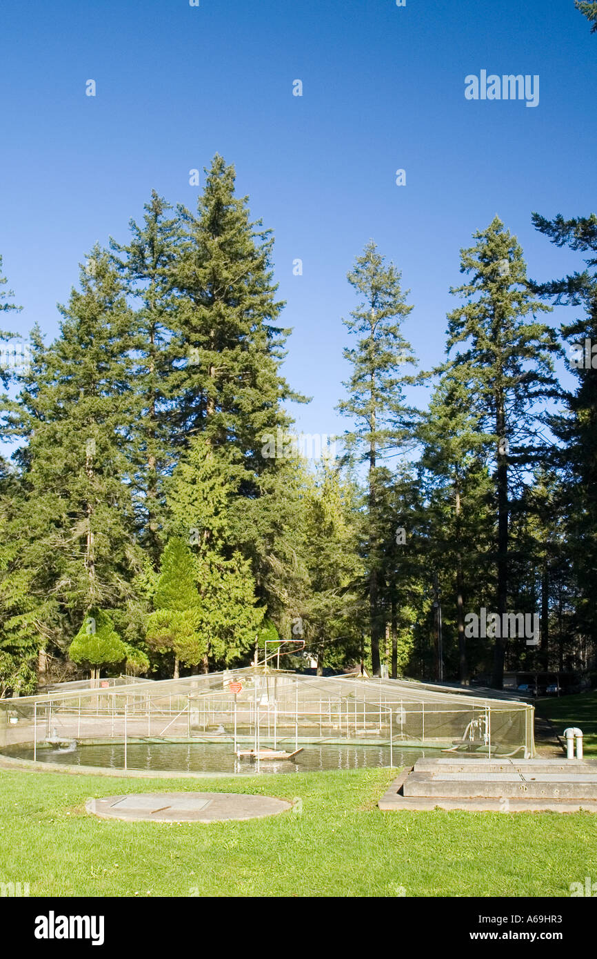 fish hatchery growing pens Stock Photo - Alamy