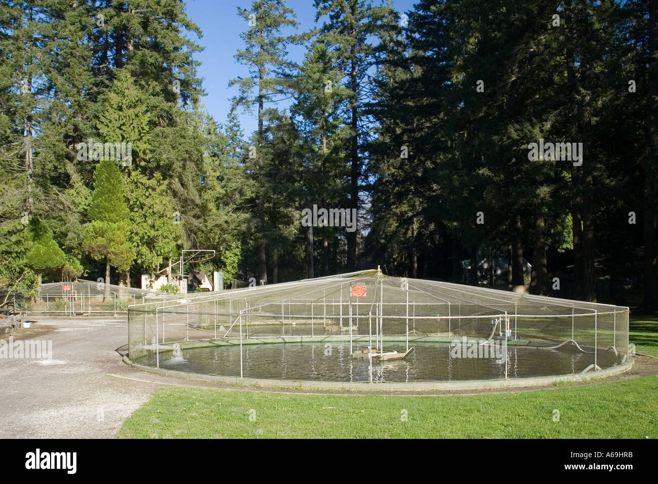 fish hatchery growing pens Stock Photo - Alamy