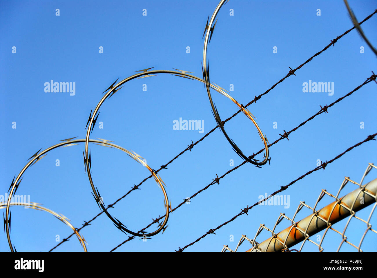 "Top of "razor wire" and "barbed wire" security fence Stock Photo - Alamy