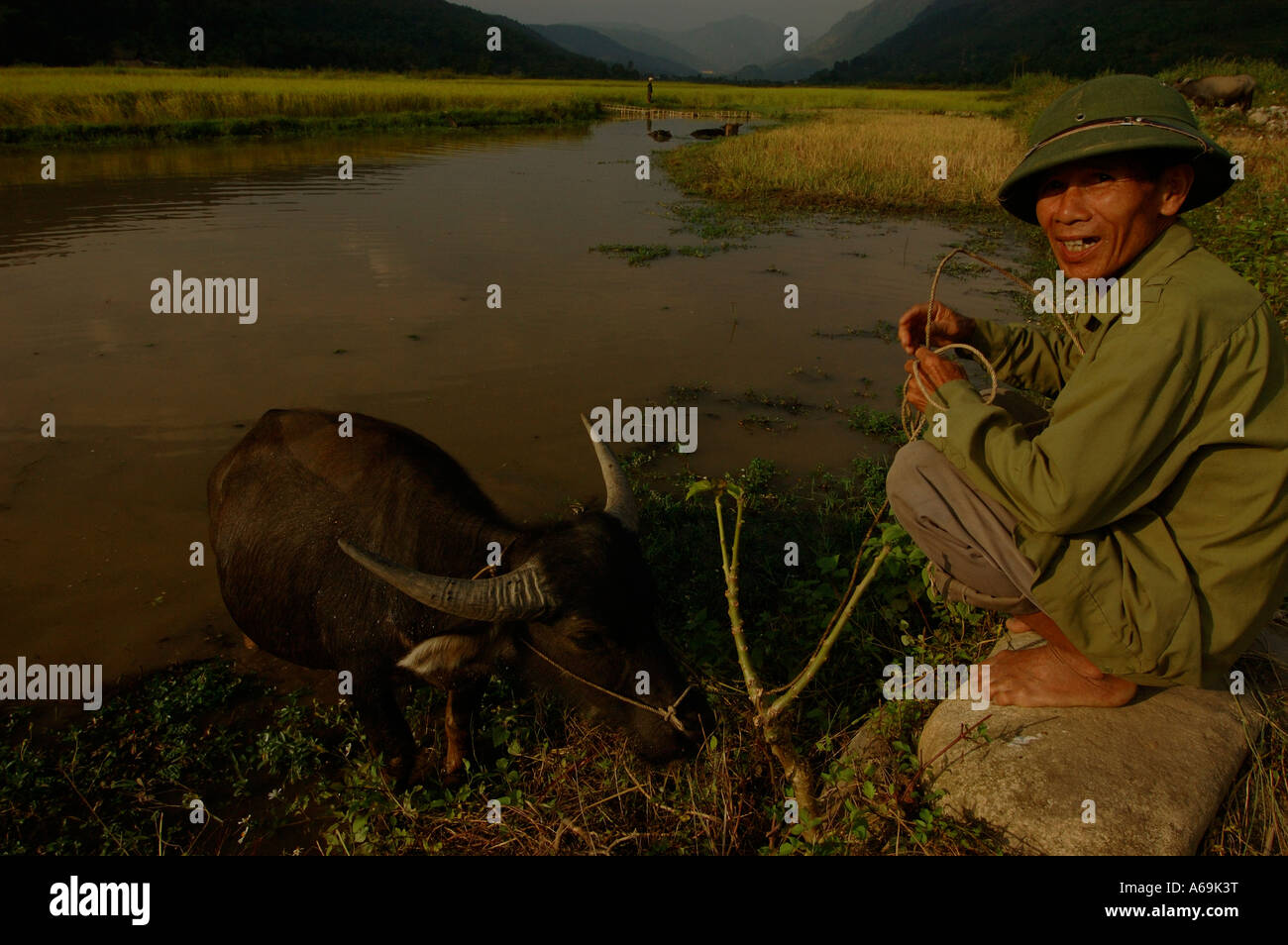 Blue Hmong man bathing his water buffalos in the community of Satong ...