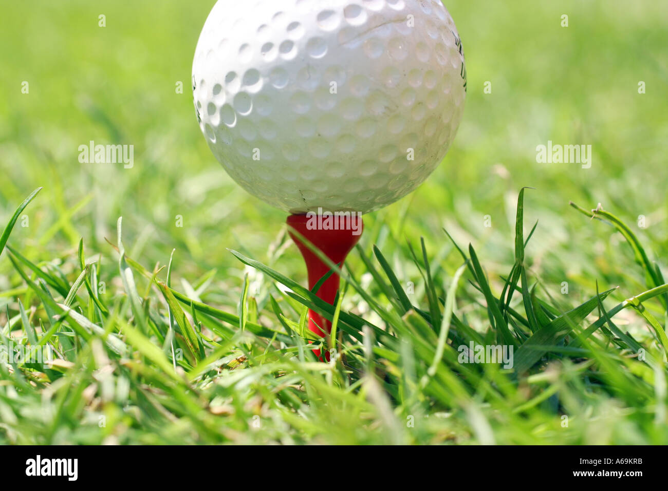 Golf ball tee peg hi-res stock photography and images - Alamy