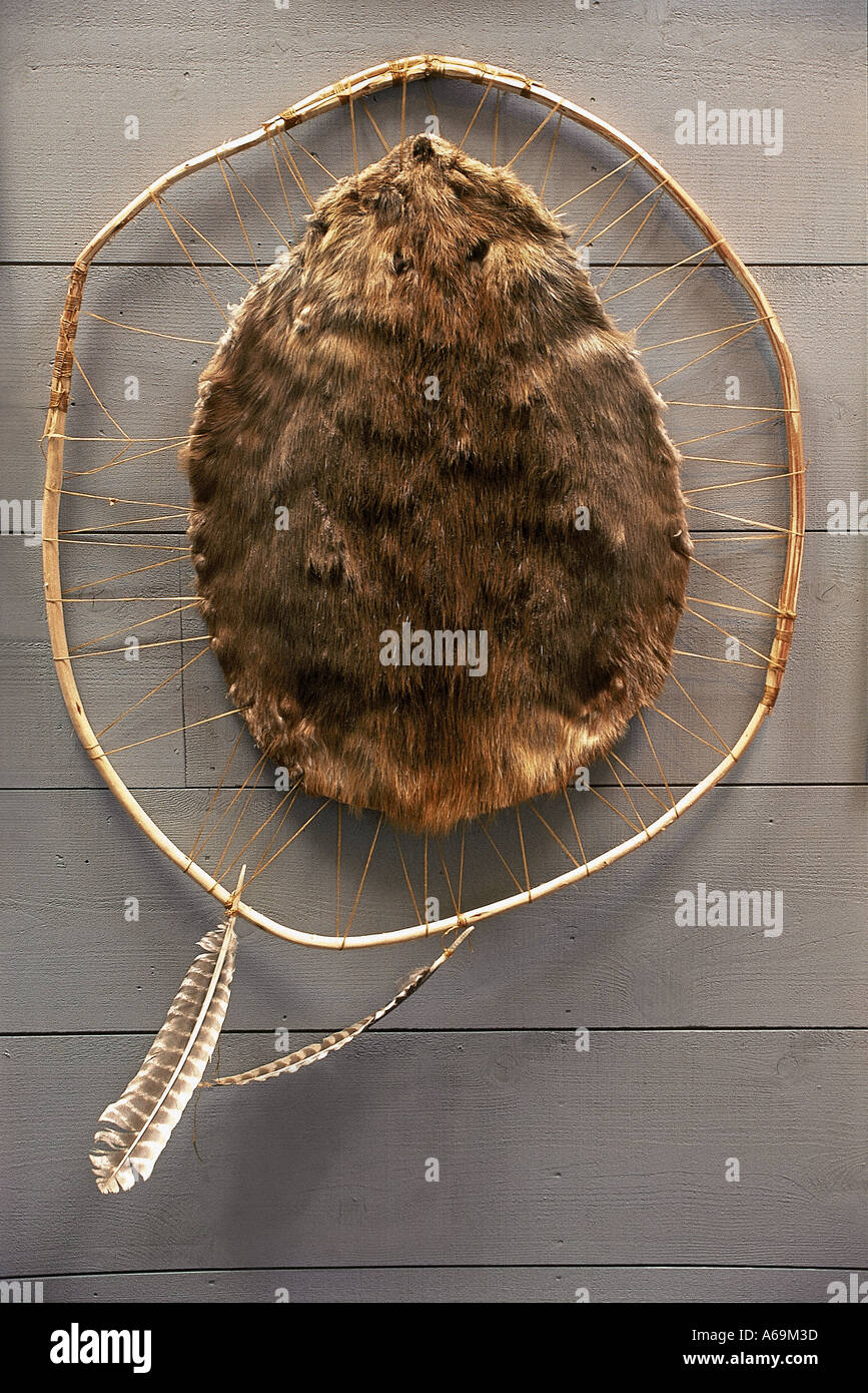 Beaver pelt indian hi-res stock photography and images - Alamy