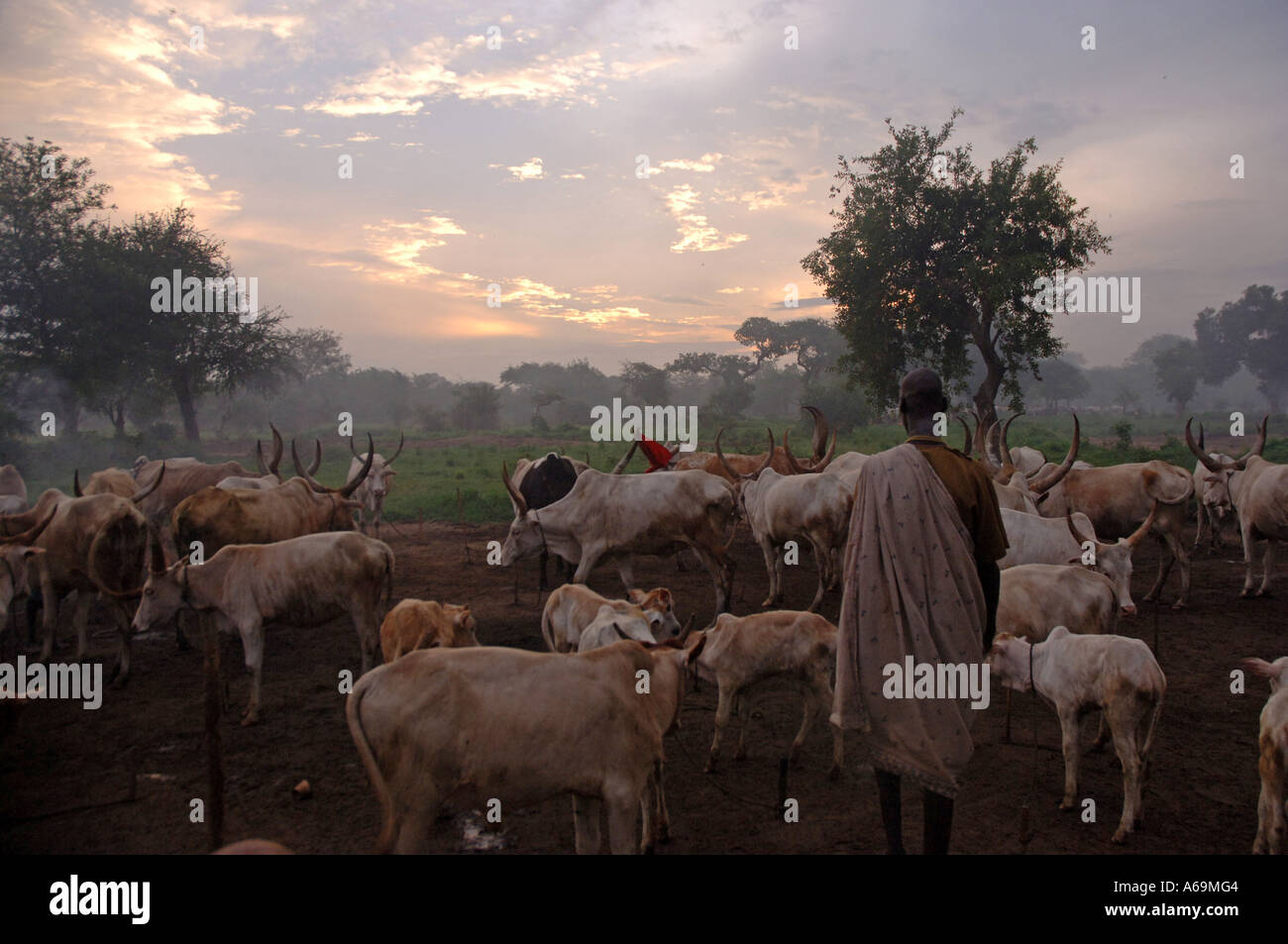 The semi nomadic Dinka tribe at the cattle camp, Rumbek, South Sudan ...