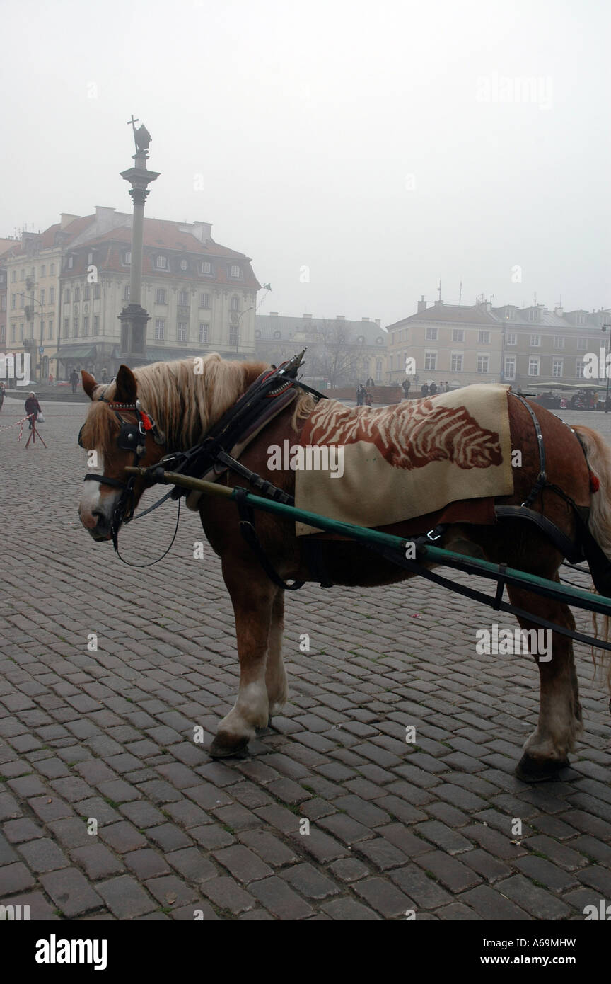 Droshky hi-res stock photography and images - Alamy