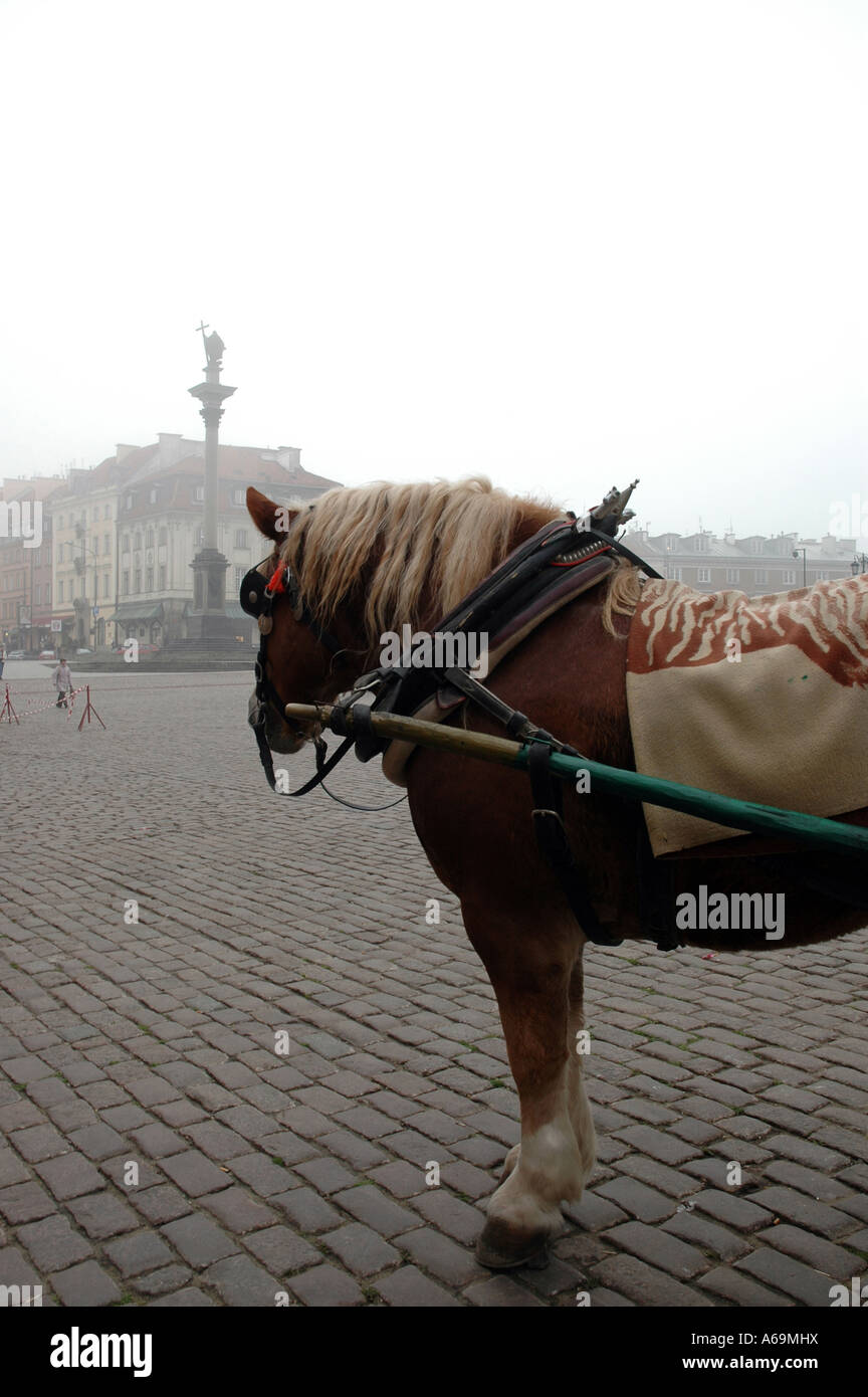 Horse droshky and Column of Sigismund III Waza at background, Old Town ...