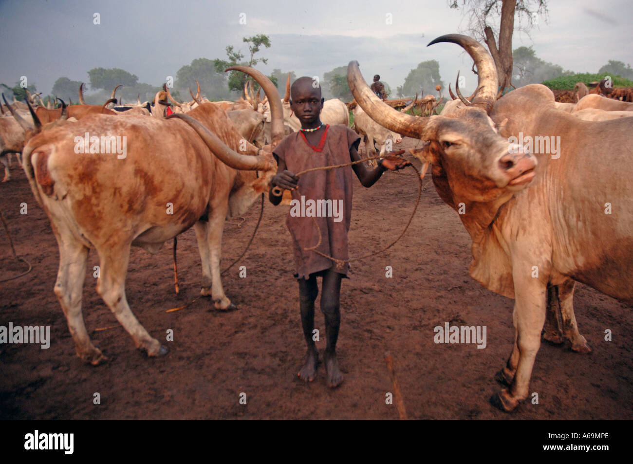 The semi nomadic Dinka tribe at the cattle camp, Rumbek, South Sudan ...
