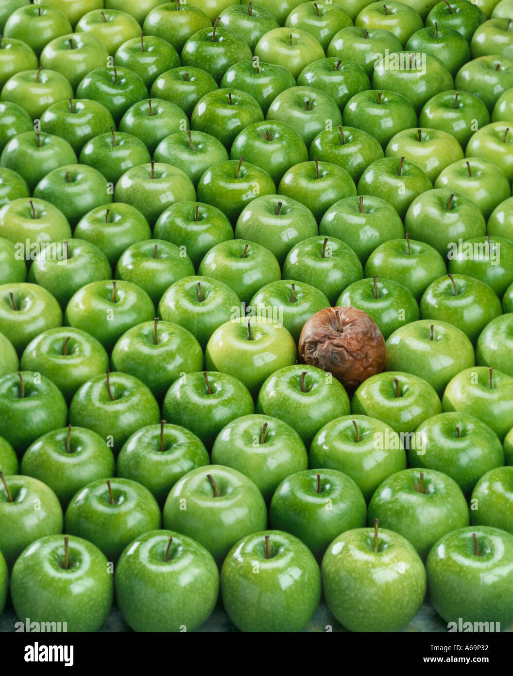 Green apples with a rotten one in the middle Stock Photo - Alamy