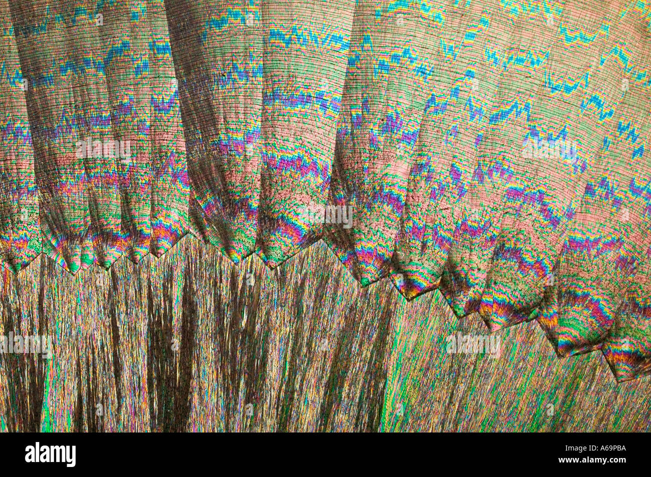 Hippuric acid photomicrograph crossed polarized lighting Stock Photo ...